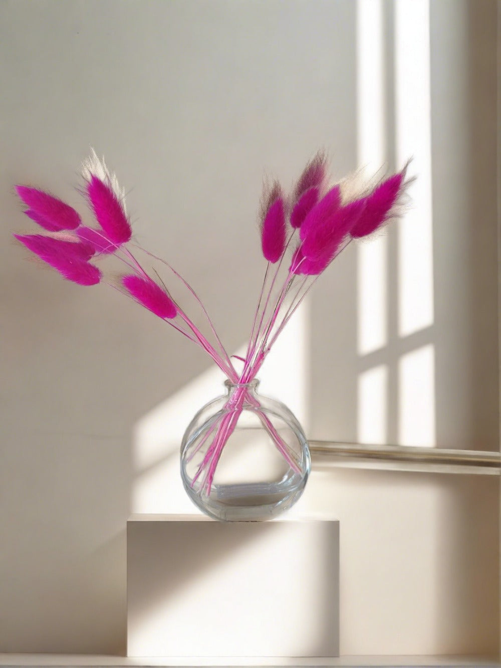 Hot Pink Circle Bunny | Pampas B